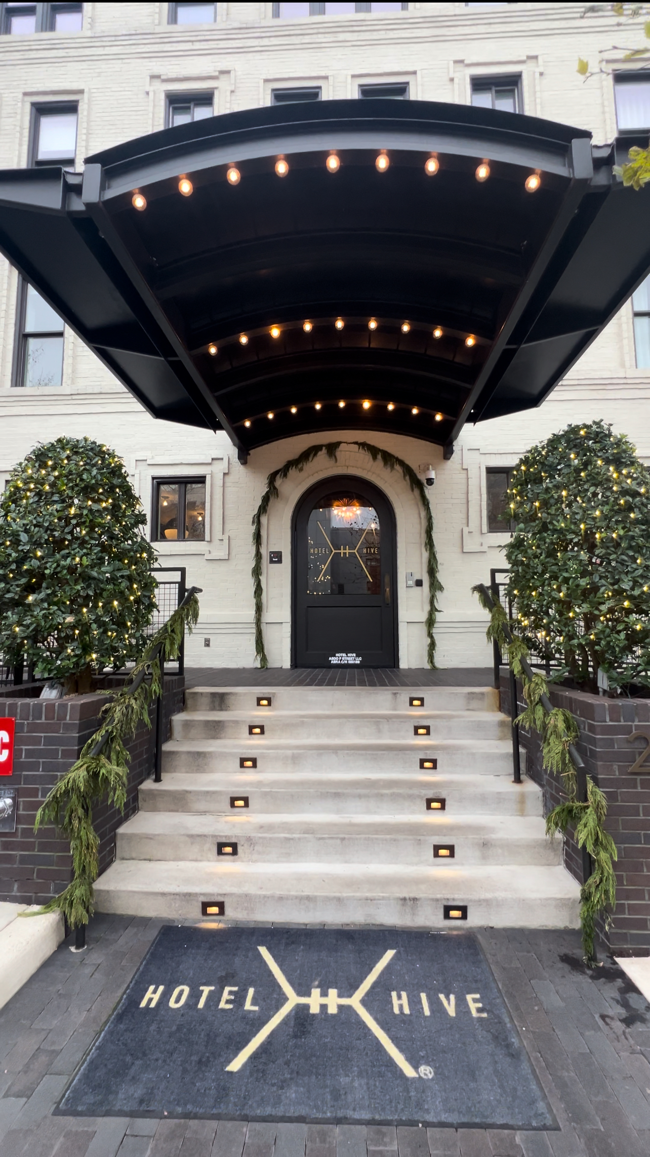 Top Rated Hotel In Washington, DC: Hotel Hive - Postcards From Carrie